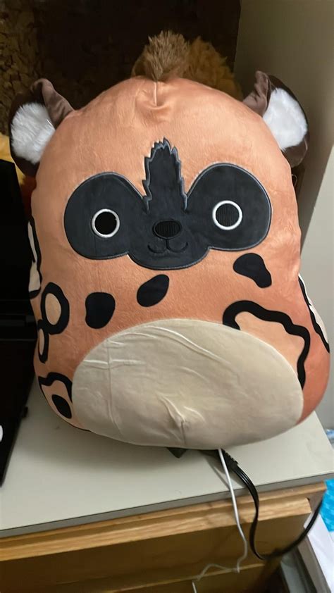 I Rescued Deeto Rsquishmallow