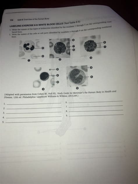 Solved 110 Unit I Overview Of The Human Body Labeling