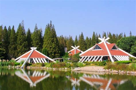 东平国家森林公园 搜狗百科