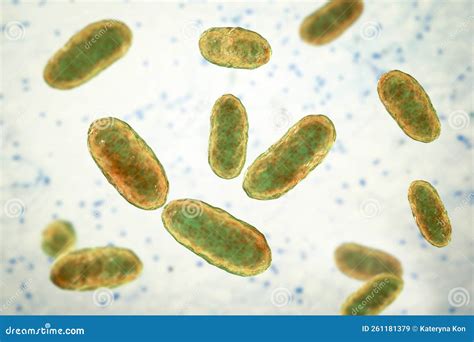 Bacteria Aggregatibacter Illustration Stock Image Image Of