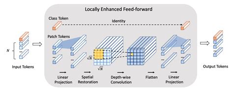 Vision Transformer 演化史 Incorporating Convolution Designs Into Visual
