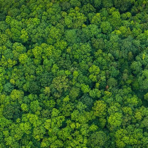 Pin By Counselling2wellnesss On Best Rated Counselling Services In Etobicoke Grass Textures