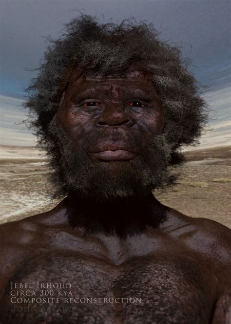Homo Sapiens Evolution Nailed