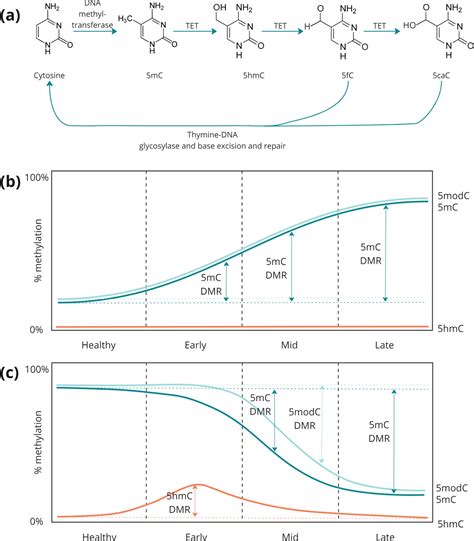 Multiomic 6 Base Data From Cell Free Dna Enhances The Performance Of Liquid Biopsy Classifiers