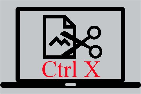 Quick Guide Ctrl X Meaning How To Use It In Windows