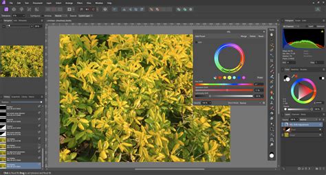 Best Way To Separate And Clarify Similar Colors Affinity On Desktop