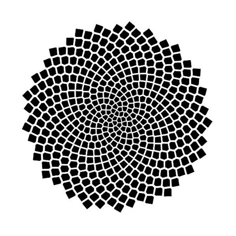 Fibonacci Sunflower Fibonacci Spiral Sacred Geometry Fibonacci Tattoo