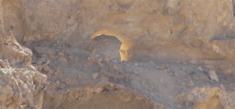 Avraham Tuval הר כרכום