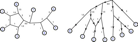 A Weighted 1 Nested Phylogenetic Network Unrooted On The Left And