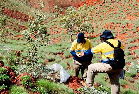 Geochemistry Testing And Analysis Services Als