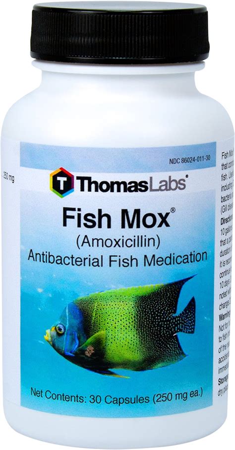 Questions And Answers About Thomas Labs Fish Mox Amoxicillin