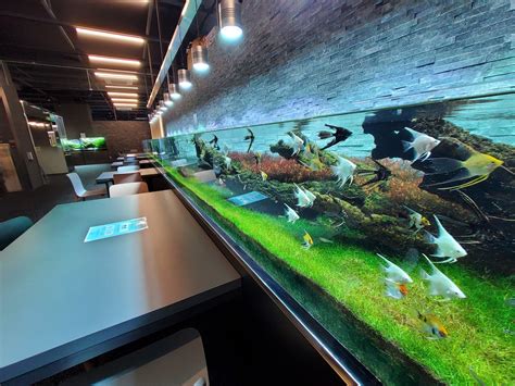 경기 열대어들에 둘러싸여 커피 한 잔 아쿠아가든 기흥점