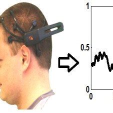 Input Output Scheme For The Experiments Download Scientific Diagram
