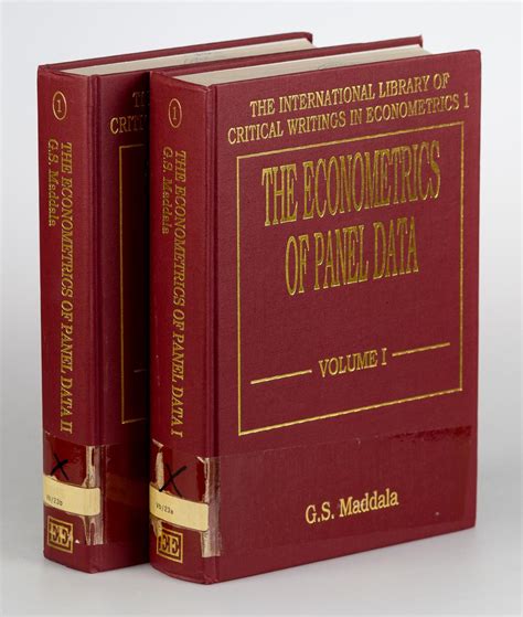 The Econometrics Of Panel Data Volume I Ii The International