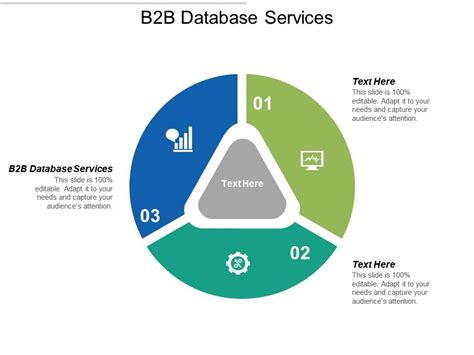 B2b Database Services Ppt Powerpoint Presentation Icon Graphics Tutorials Cpb Ppt Images