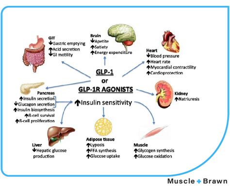 Semaglutide Side Effects Long Term Cancer Depression