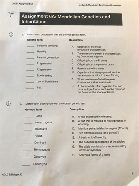 solved unit c assignment 6c modulo 6 mendelian genetics