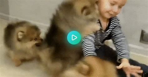 Exploding Ovaries Album On Imgur