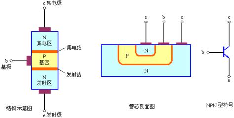 BJT的结构 电子技术 电工电气学习网