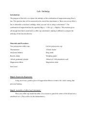 Enthalpy Lab Copy Pdf Lab Enthalpy Introduction The Purpose Of This Lab Is To Explore The