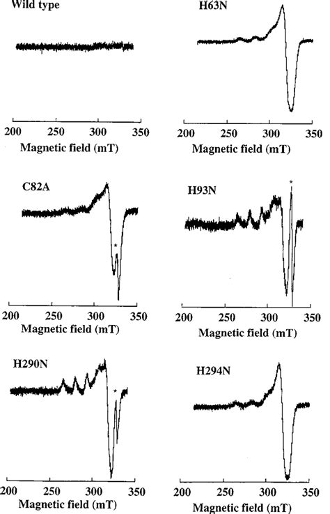 Epr Spectra Of The Wild Type And Mutant Tyrosinases From A Oryzae Download Scientific Diagram