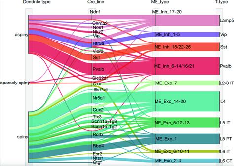 Figure S1 Taxonomies Represented In The Data Used To Generate The Download Scientific Diagram