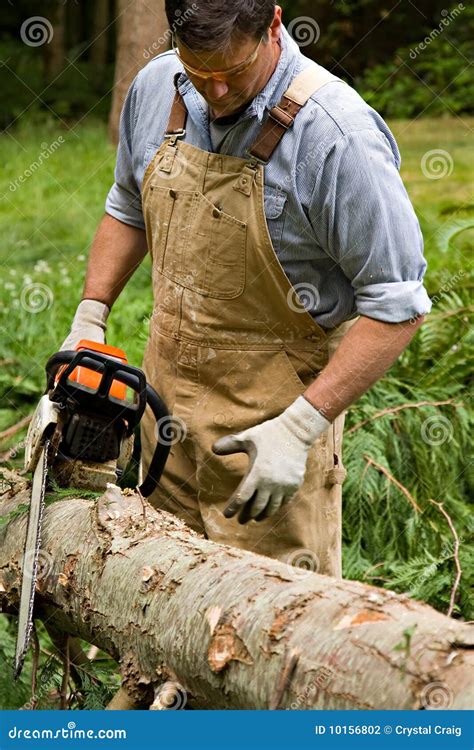 Cutting Down Trees Stock Photo Image Of Labor Safety 10156802