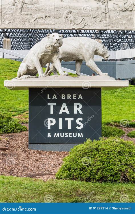 Saber Tooth Tiger Scuplture At La Brea Tar Pits Editorial Image