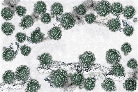 An Aerial View Of Trees Covered In Snow