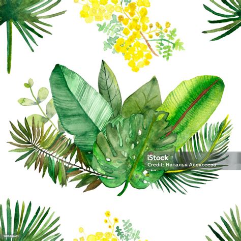 수채화 손 그린 자연 초원 꽃 무음 패턴 녹색 열대 잎 꽃다발과 노란색 아카시아 꽃 흰색 배경에 고립 된 디자인 요소에 대한