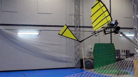 Winged Robot That Can Land Like A Bird News Myscience News News 2022