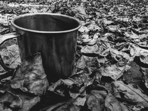 Premium Photo High Angle View Of Container On Field