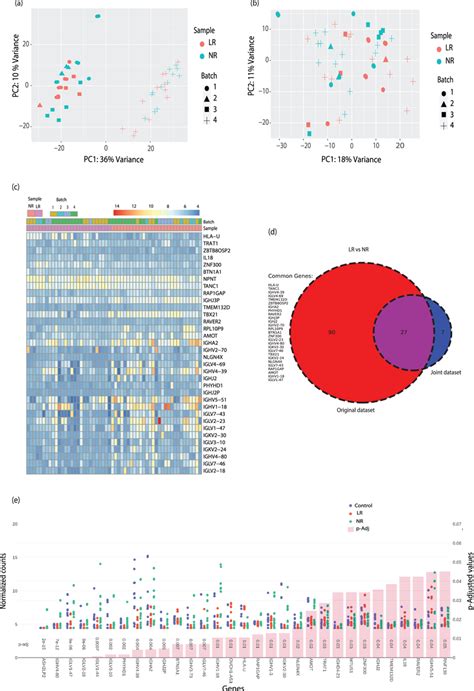 Differentially Expressed Genes Between Lr And Nr Lcls Are Highly Download Scientific Diagram