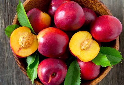 Nectarine In Malayalam At Louise Mcmakin Blog