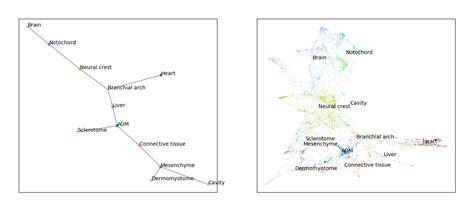 trajectory analysis stereopy