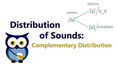 Distribution Of Sounds Complementary Distribution Youtube