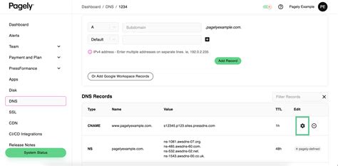 Managing Dns Records Pagely® Supportops
