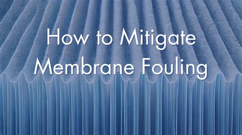 Fouling Control Techniques For Membrane Bioreactors Iws