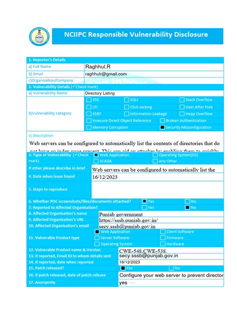 Vulnerability Disclosure Form Pdf World Wide Web Internet And Web