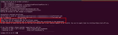 Generate And Auto Renew Your Ssl Certificate Without Lego Cloudkul
