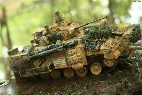 Mmz 워리어warrior영국육군 보병전투장갑차야외촬영월드컵공원20100830