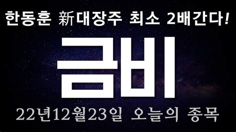 금비 주가전망 역사적인 신고가를 앞두고 있습니다 금비 지금이라도 꼭 관심 있게 보셔야 합니다 22년12월23일 트레이더