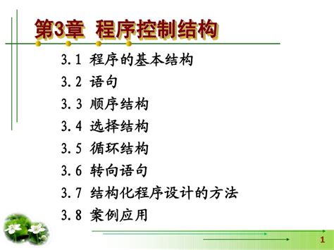 第3章 程序控制结构 word文档在线阅读与下载 无忧文档