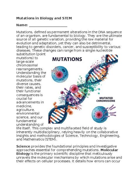 Mutations And Stem No Prep Worksheet 100 Editable By The Stem Center