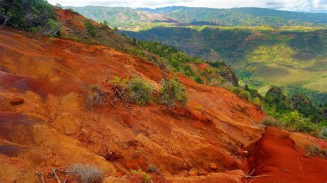 Sols Argileux Caractéristiques Potentiel Agricole Et Comment Les Améliorer
