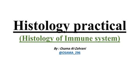 Histology Histology Of Immune System Pdf