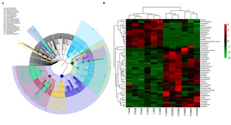Taxonomic Analysis Through Phylogenetic Tree And Heat Map A The
