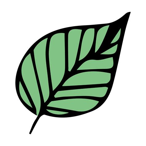 Hand Drawn Simple Leaf Eco Doodle Clipart Botanical Illustration Vector Art At Vecteezy