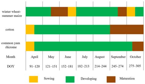 In Season Crop Type Detection By Combing Sentinel A And Sentinel Imagery Based On The CNN Model