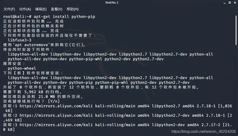 kali linux python环境配置 包的安装方法、工具的选择与使用 kali怎么看python路径 csdn博客